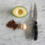 The ultimate guide to growing your own avocado pit every time. - Botanopia