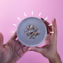 How to grow your lemon pips and citrus seeds into plants- Botanopia