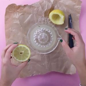 How to grow your lemon pips and citrus seeds into plants- Botanopia