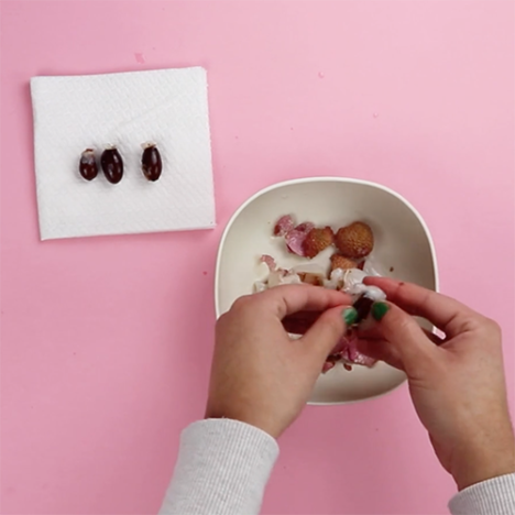 How to grow lychee pits into plants - Botanopia