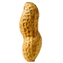 How to grow peanuts in water - video tutorial - Botanopia