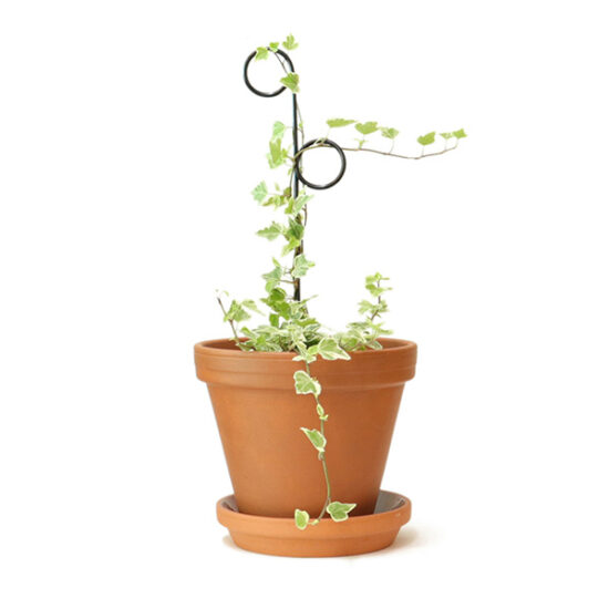 Mini Plant Stake - Perch - Botanopia
