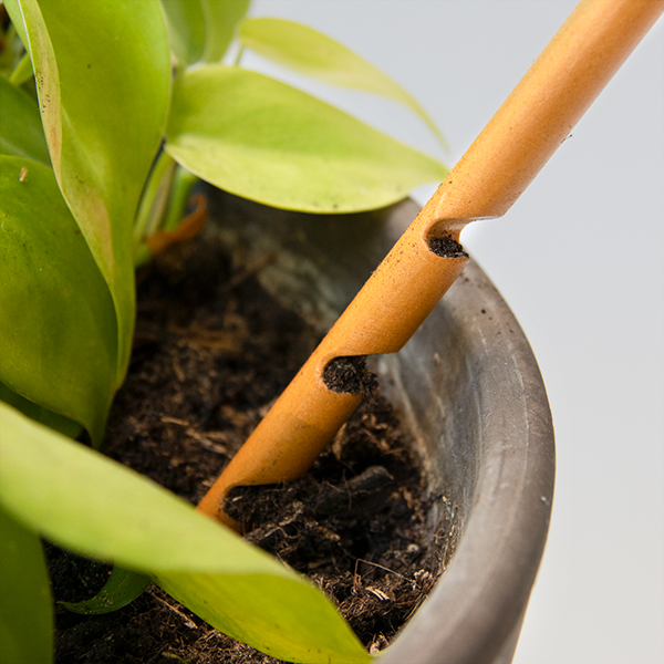 Soil checker to check the soil's moisture - Botanopia