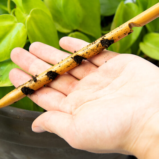 Soil checker to check the soil's moisture - Botanopia