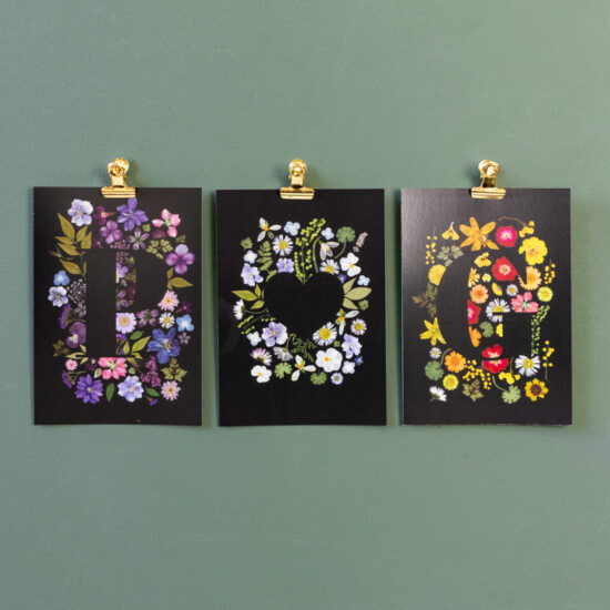 Alphabet letter postcards pressed flowers - Botanopia