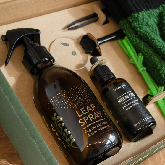 SOS Plant Kit - first aid for sickly plants - Botanopia