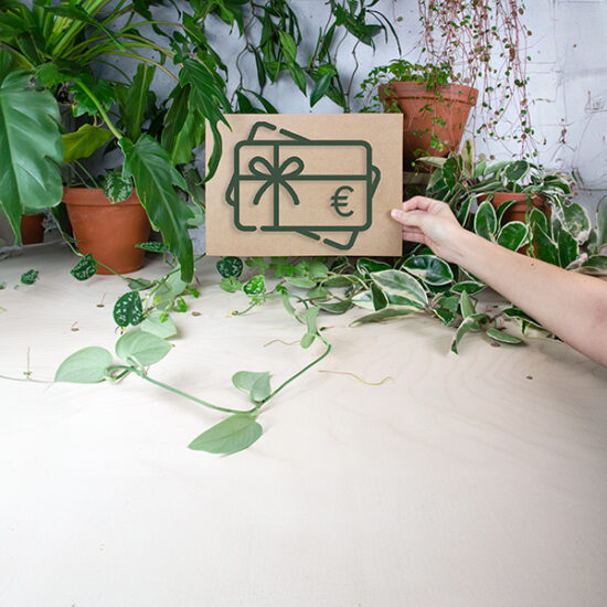 Our gift ideas for plant lovers - Botanopia