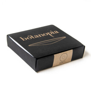 Porcelain Germination & Propagation Plate size L