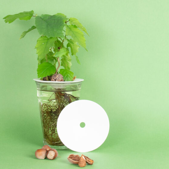 Porcelain Germination & Propagation Plate size S - Botanopia