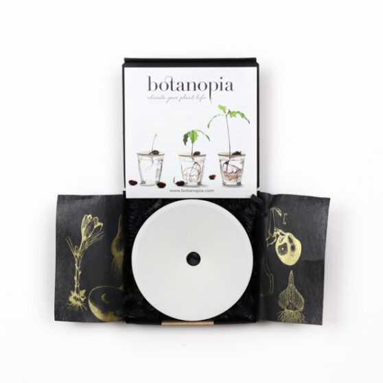 Porcelain Germination & Propagation Plate size S - Botanopia