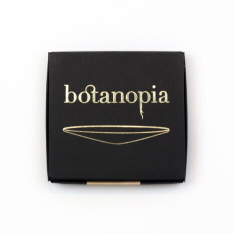 Porcelain Germination & Propagation Plate size L